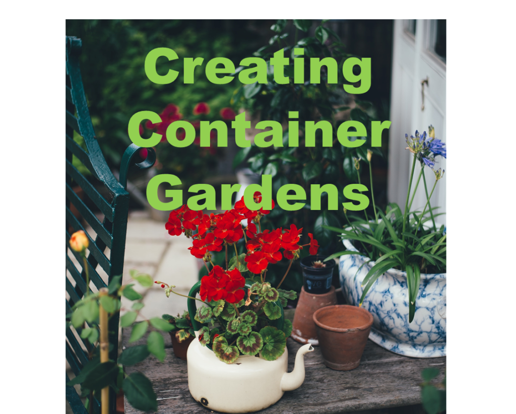 2022 Creating Container Gardens - BILL MEMORIAL LIBRARY