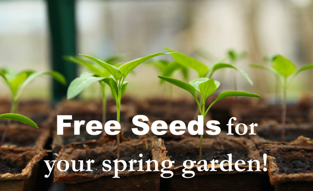 2022 May Seed Giveaway - BILL MEMORIAL LIBRARY