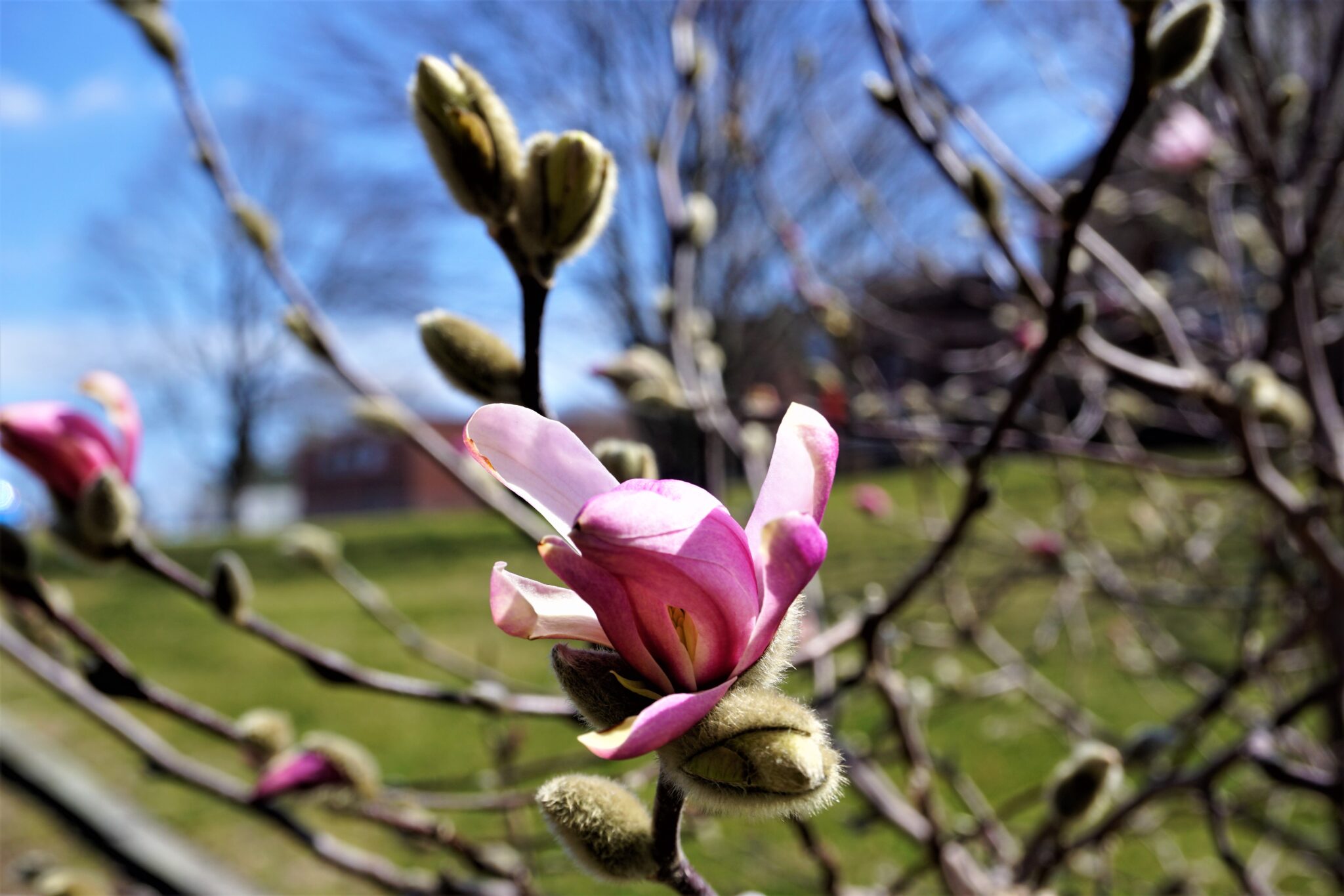 Donors & Volunteers - BILL MEMORIAL LIBRARY